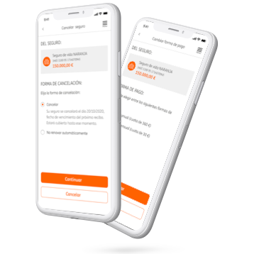 Seguros de Vida - Seguros - ING